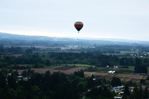 Portland Rose Balloons: Hot Air Balloon - Erika Lily Castro